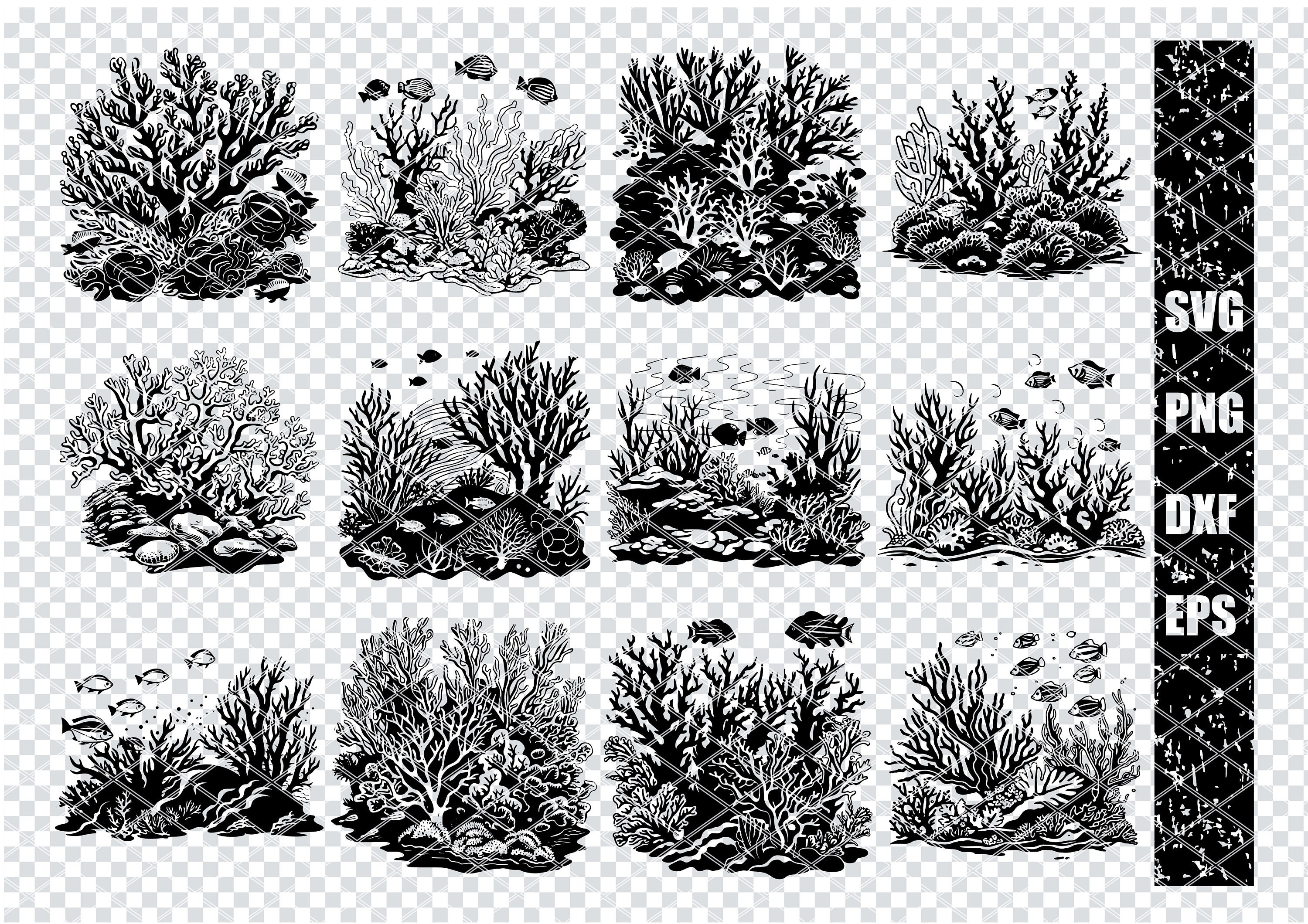 CORAL REEF COLONY Svg, Marine Coral Reef Ecosystem Svg Files for Cricut ...