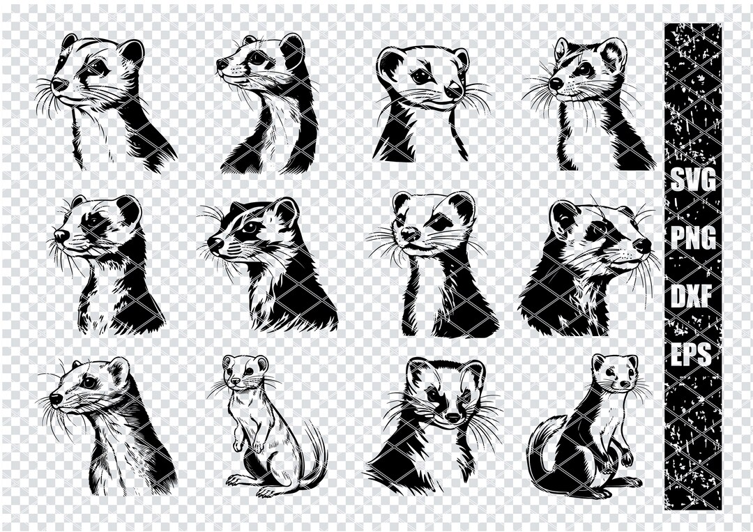 WEASEL SVG, FERRET Head Svg Files for Cricut, Mink Head Clipart, Laser ...