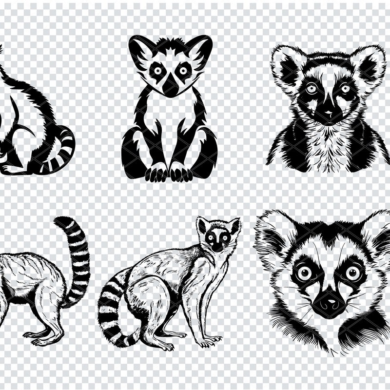Lemur Print - Etsy