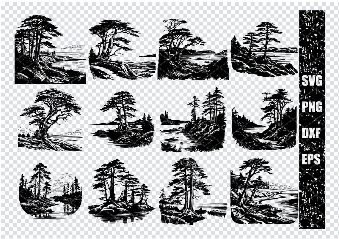 COASTAL REDWOOD SVG, Coastal Redwood Svg Files for Cricut, Coastal ...