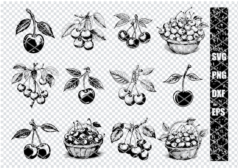 CHERRY SVG, CHERRY Svg Files for Cricut, Cherry Clipart, Laser Cut ...