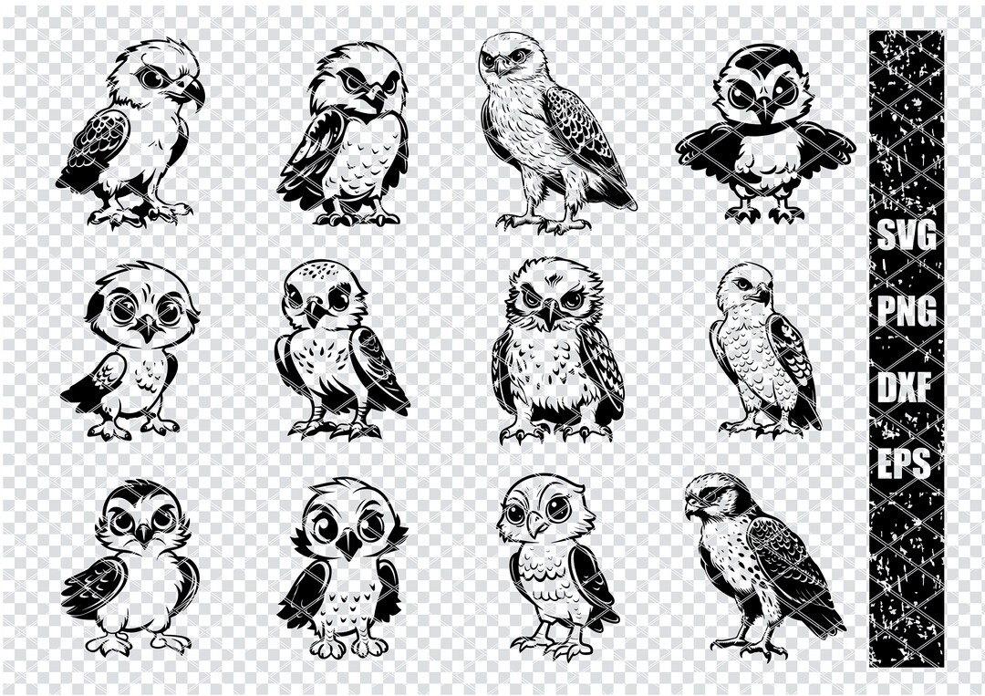 CUTE BABY FALCON Svg, Falcon Hatchling Svg Files for Cricut, Adorable ...