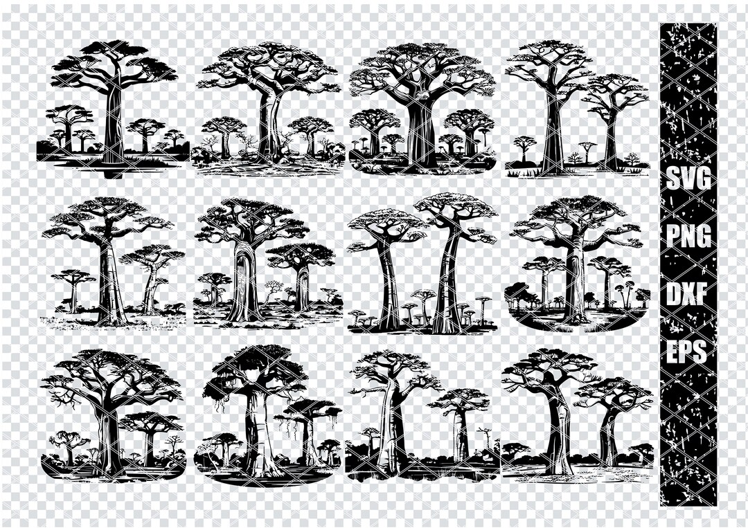 GIANT BAOBAB TREE Svg, Boab African Tree Svg Files for Cricut, Baobab ...