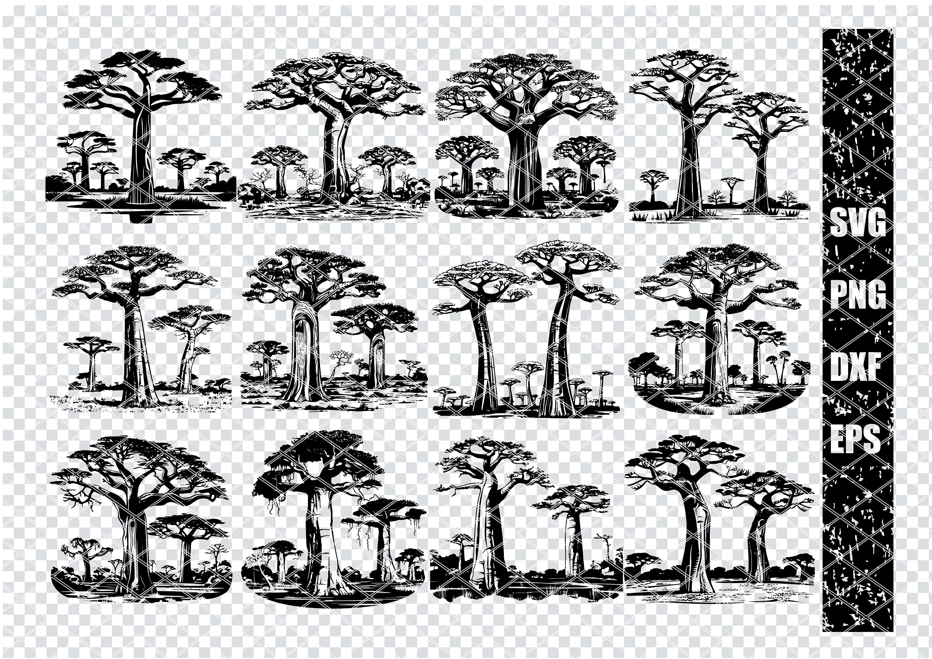 GIANT BAOBAB TREE Svg, Boab African Tree Svg Files for Cricut, Baobab ...