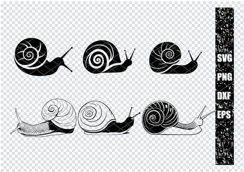 SNAIL SVG, SNAIL Svg Files for Cricut, Snail Clipart, Snail Laser Cut ...