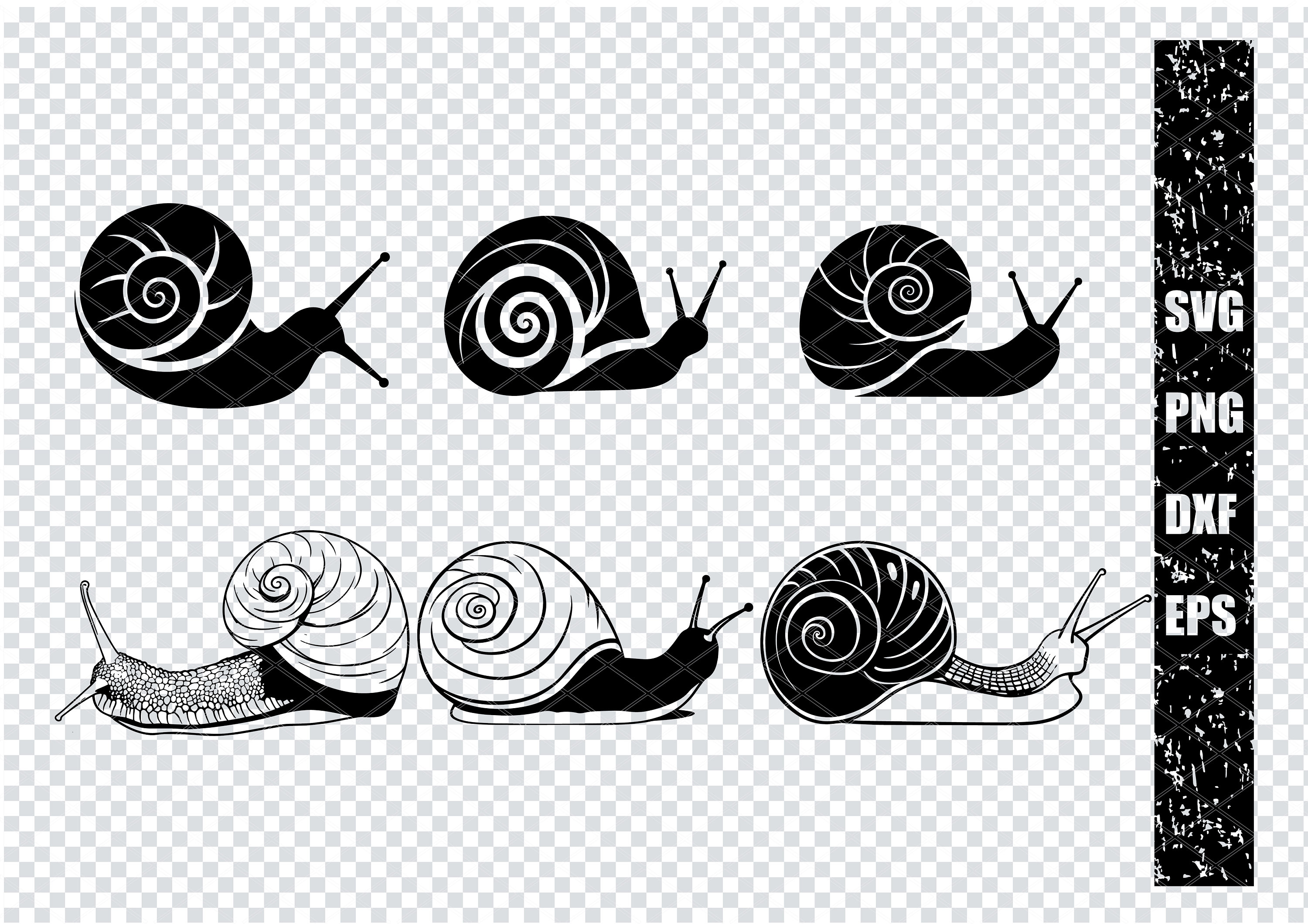 SNAIL SVG, SNAIL Svg Files for Cricut, Snail Clipart, Snail Laser Cut ...