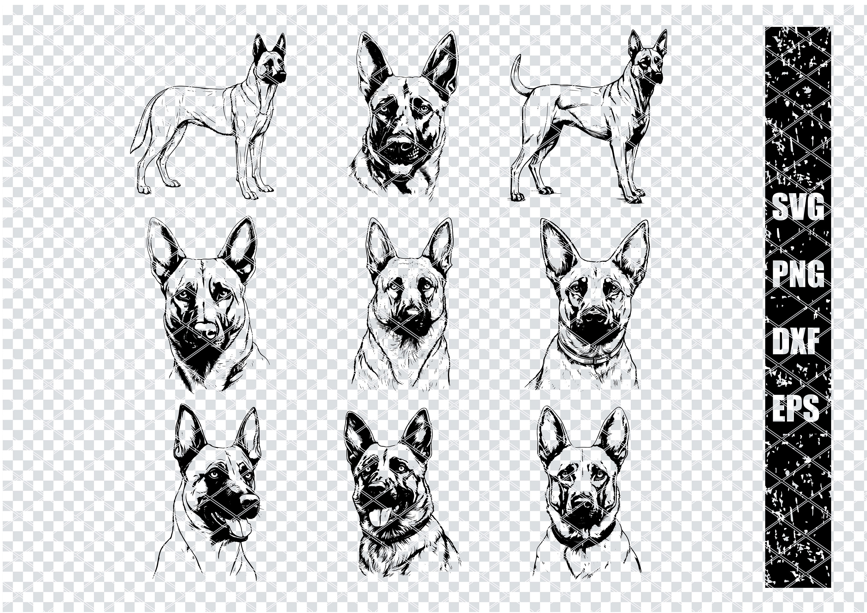 BELGIAN MALINOIS SHEPHERD Dog Svg, Belgian Malinois Police Canine Svg ...