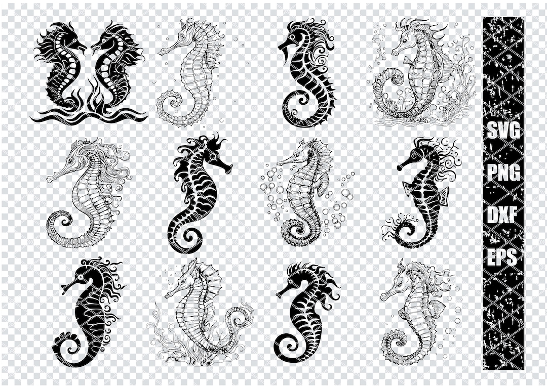 SEAHORSE SVG, SEAHORSE Svg Files for Cricut, Seahorse Clipart, Laser ...