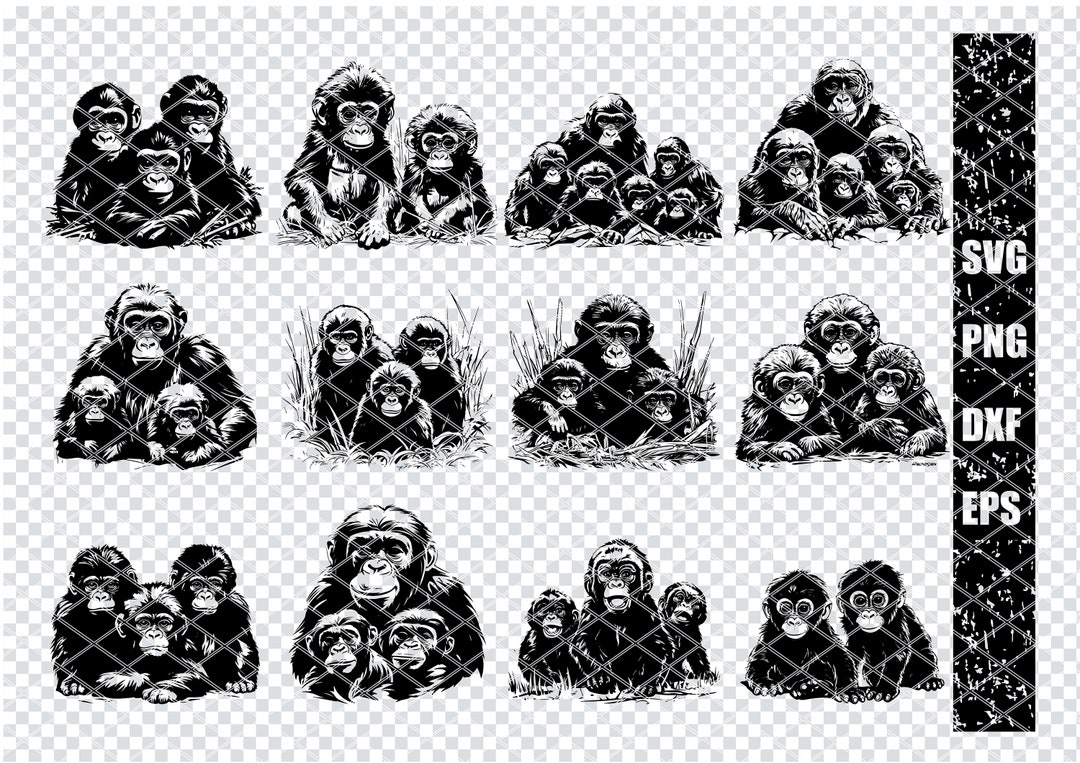 BABY GORILLA SILVERBACK Svg, Silverback Gorilla Family Svg Files for ...