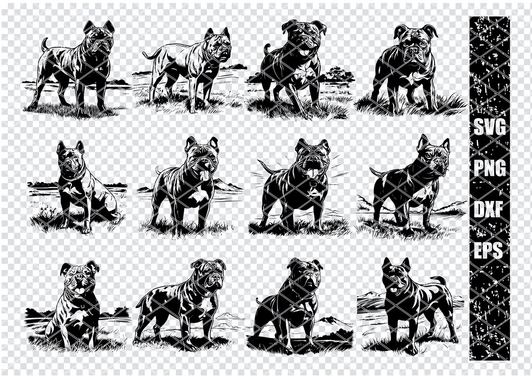 AMERICAN BULLY DOG Svg, American Bully Dog Breed Svg Files for Cricut ...