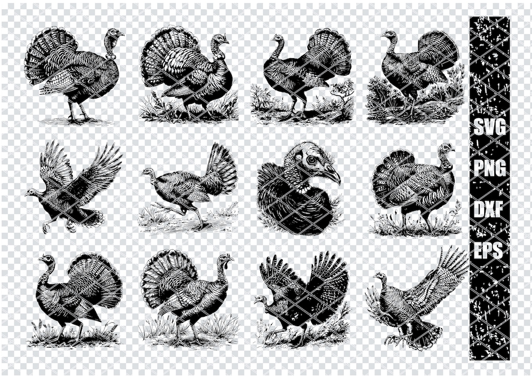 WILD TURKEY SVG, Wild Turkey Bird Svg Files for Cricut, Pheasant Bird ...