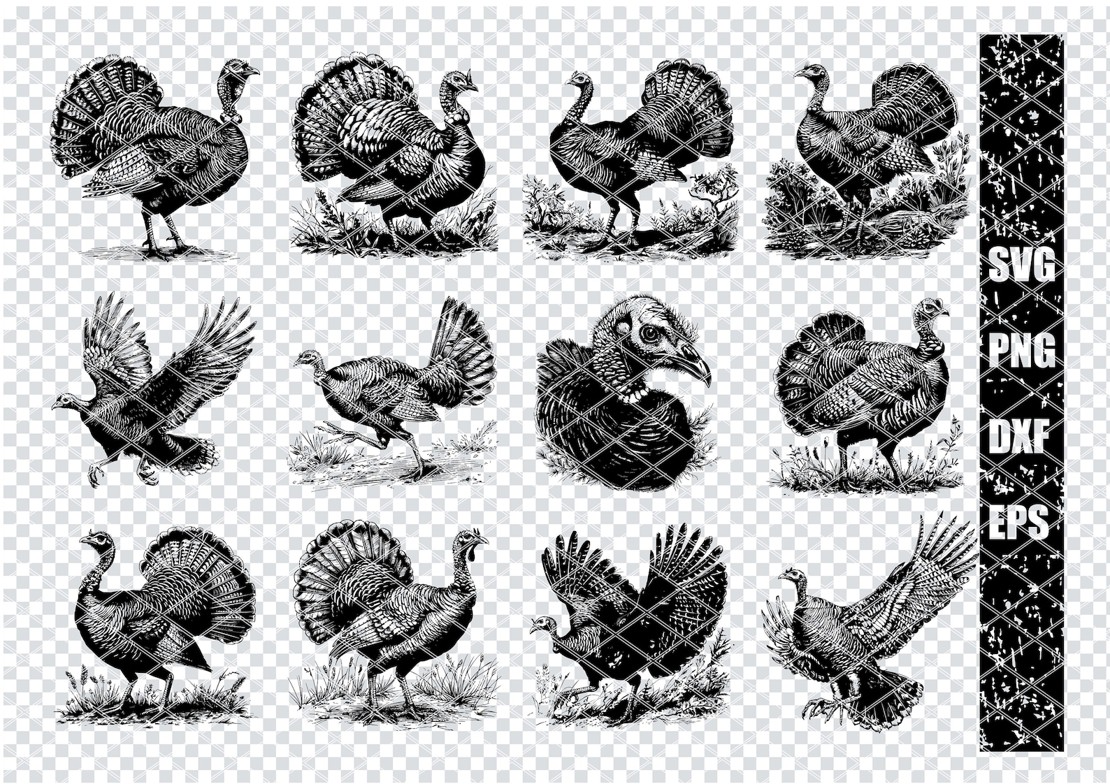 WILD TURKEY SVG, Wild Turkey Bird Svg Files for Cricut, Pheasant Bird ...