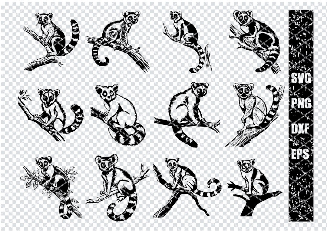 LEMUR SVG, LEMUR Svg Files for Cricut, Lemur Clipart, Lemur Laser Cut ...