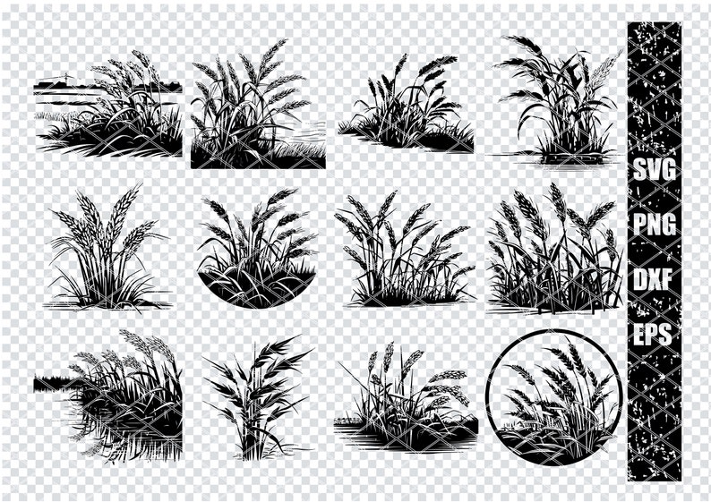 PALAY RICE PLANT Svg, Rice Paddy Svg Files for Cricut, Rice Grain Crop ...