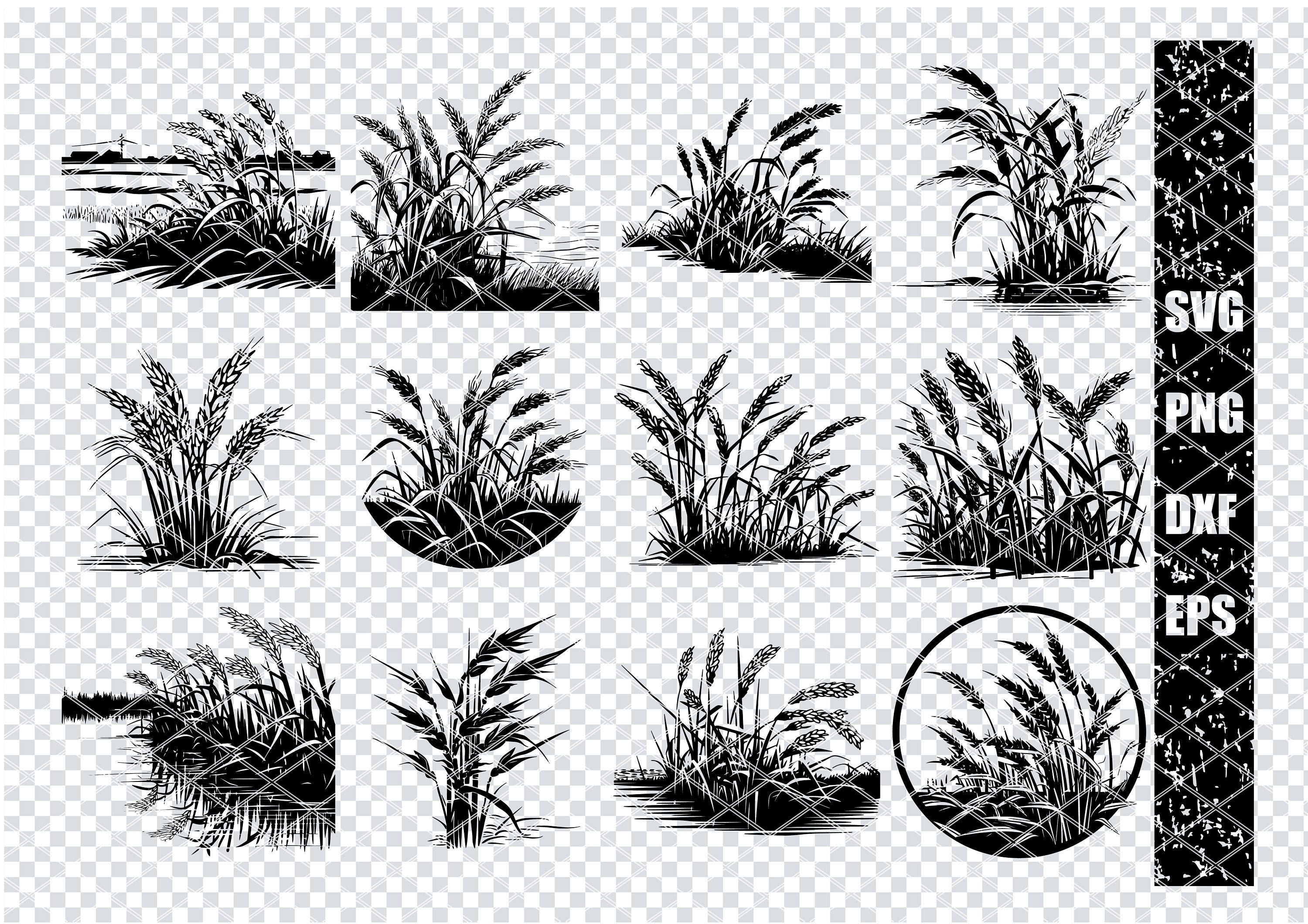PALAY RICE PLANT Svg, Rice Paddy Svg Files for Cricut, Rice Grain Crop ...