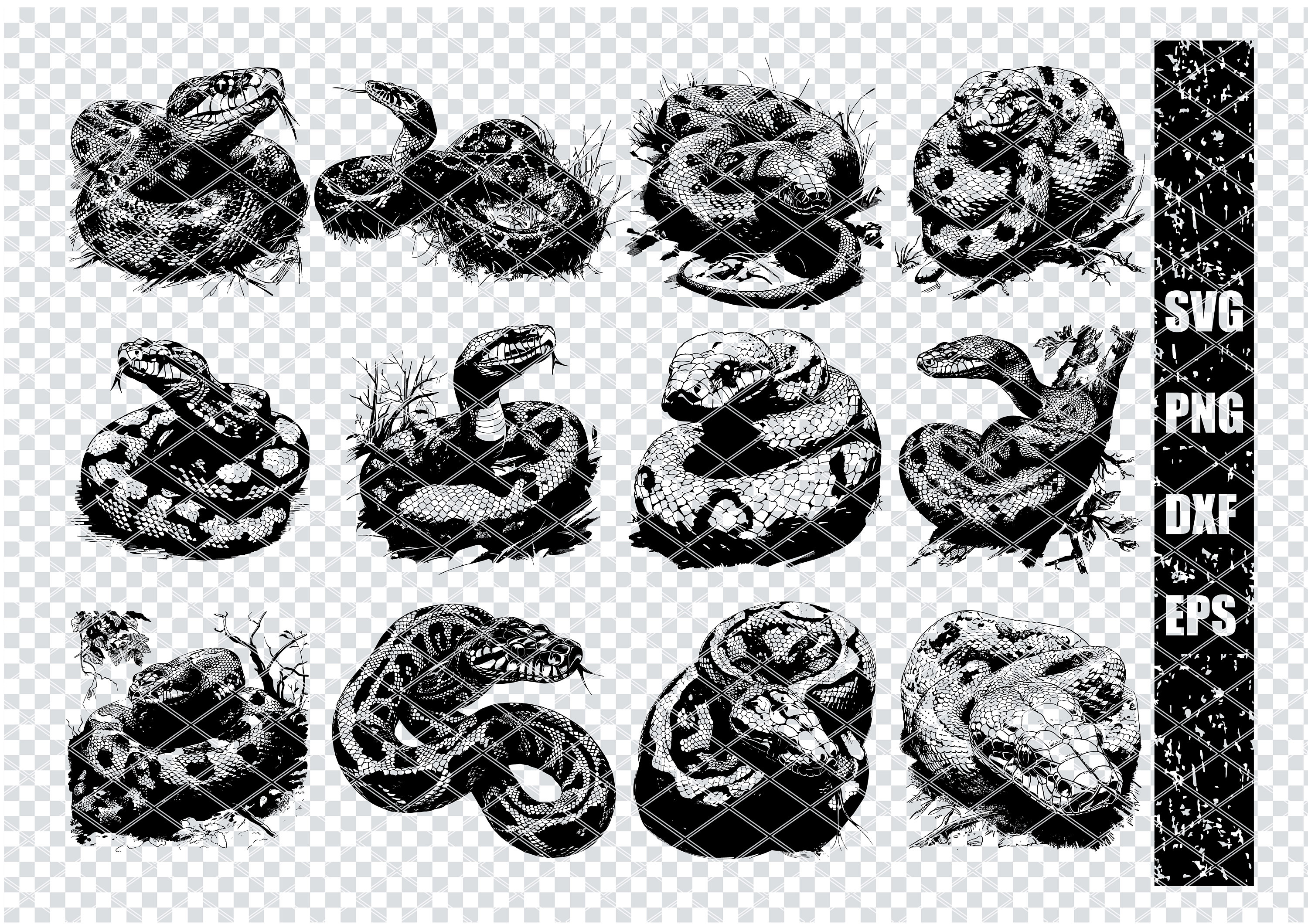 ANACONDA SNAKE SVG, Anaconda Snake Svg Files for Cricut, Anaconda ...