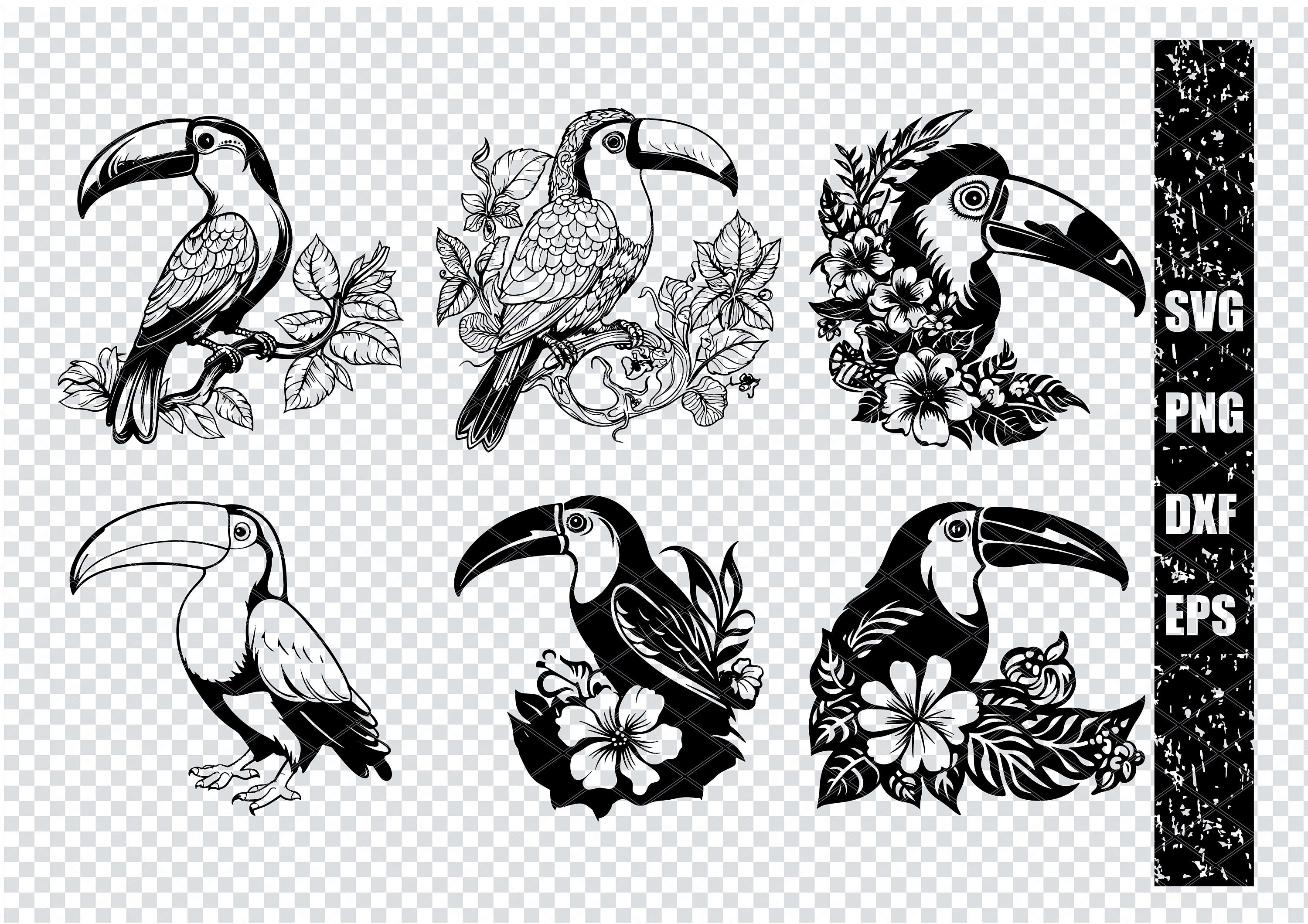 TOUCAN BIRD SVG, Toucan Bird Svg Svg Files for Cricut, Toucan Bird ...
