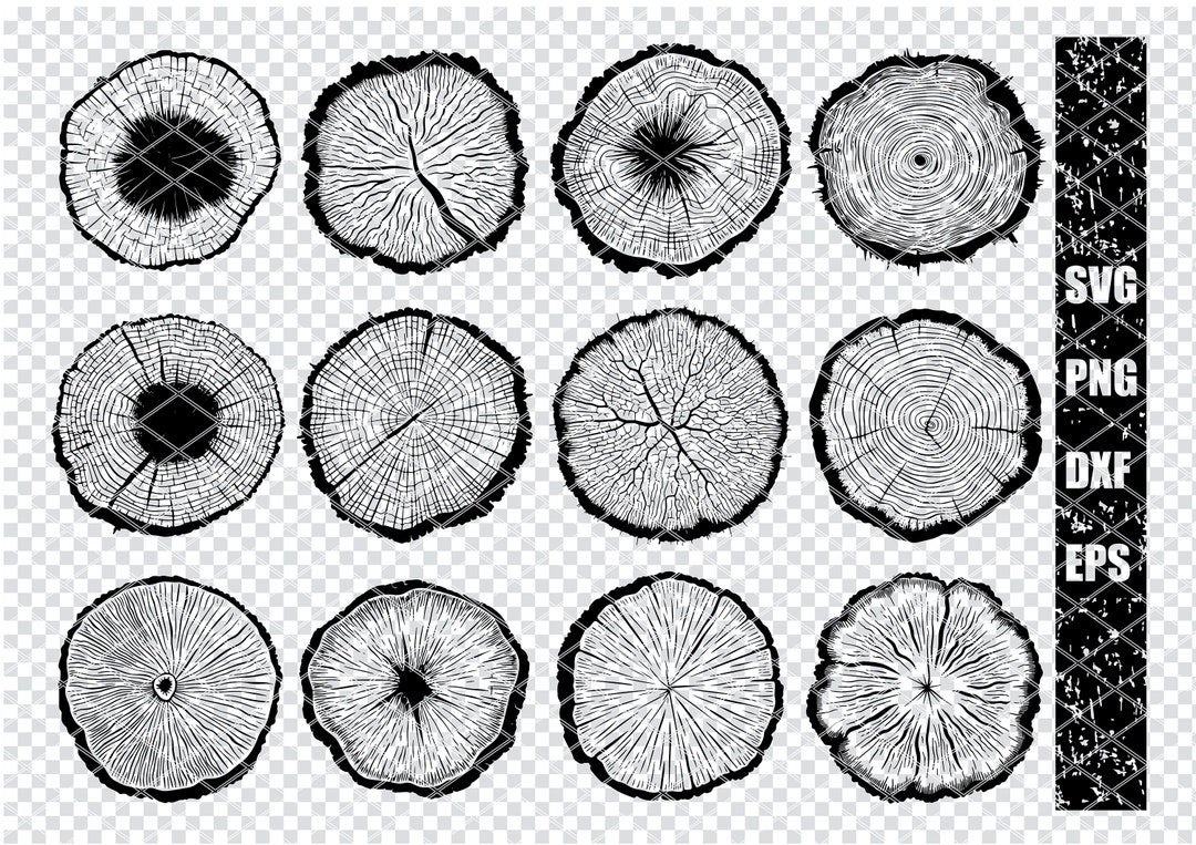 TREE SLICE SLAB Svg, Round Tree Slab Svg Files for Cricut, Timber Ring ...
