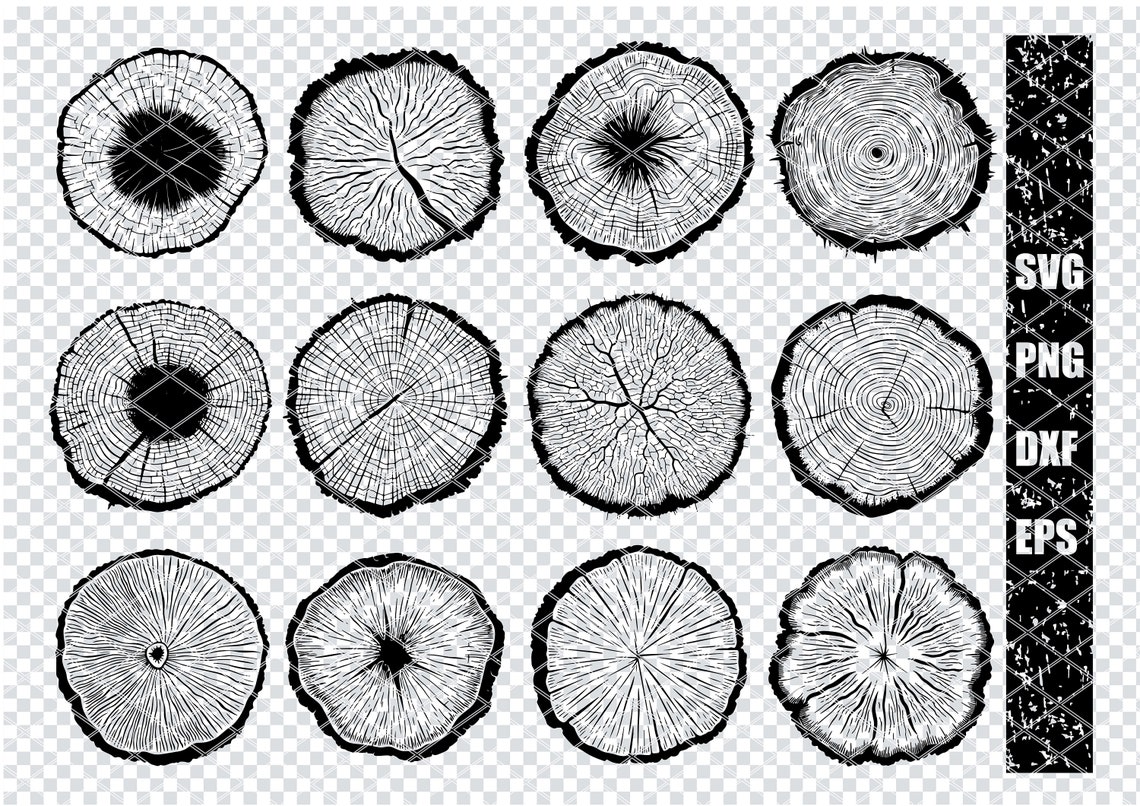 TREE SLICE SLAB Svg, Round Tree Slab Svg Files for Cricut, Timber Ring ...