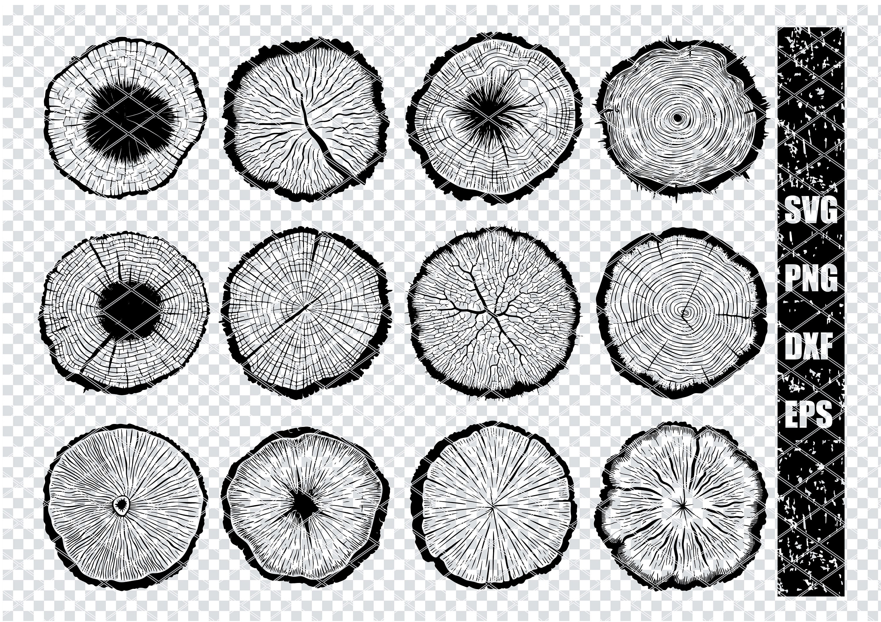 TREE SLICE SLAB Svg, Round Tree Slab Svg Files for Cricut, Timber Ring ...