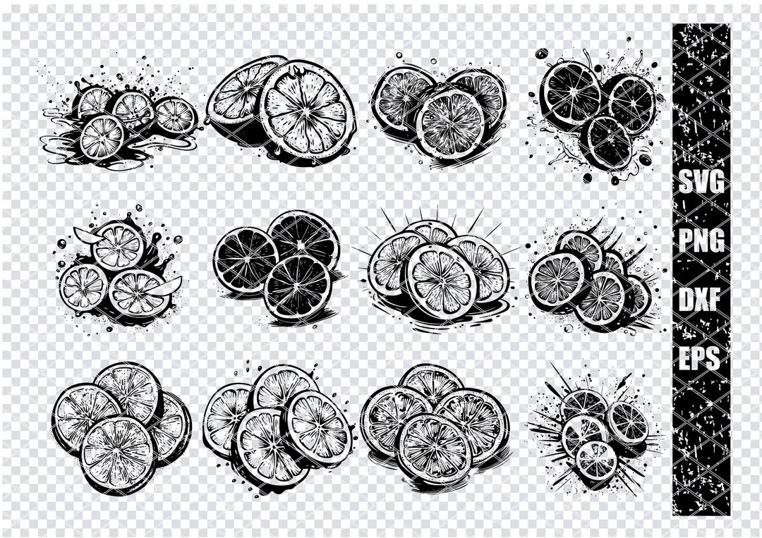 CITRUS LEMON FRUIT Svg, Citrus Lemon Slice Svg Files for Cricut, Citrus ...