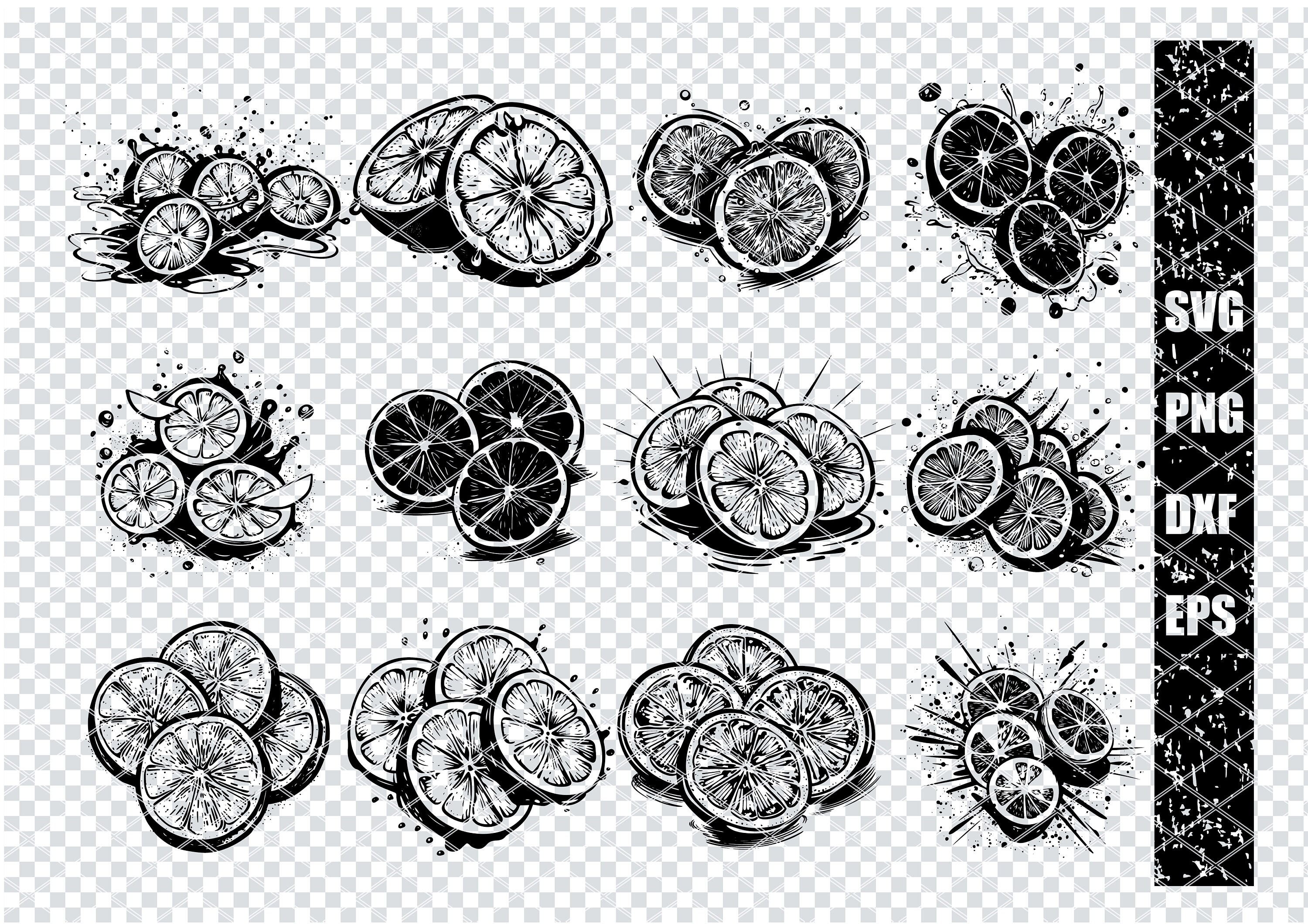 CITRUS LEMON FRUIT Svg, Citrus Lemon Slice Svg Files for Cricut, Citrus ...