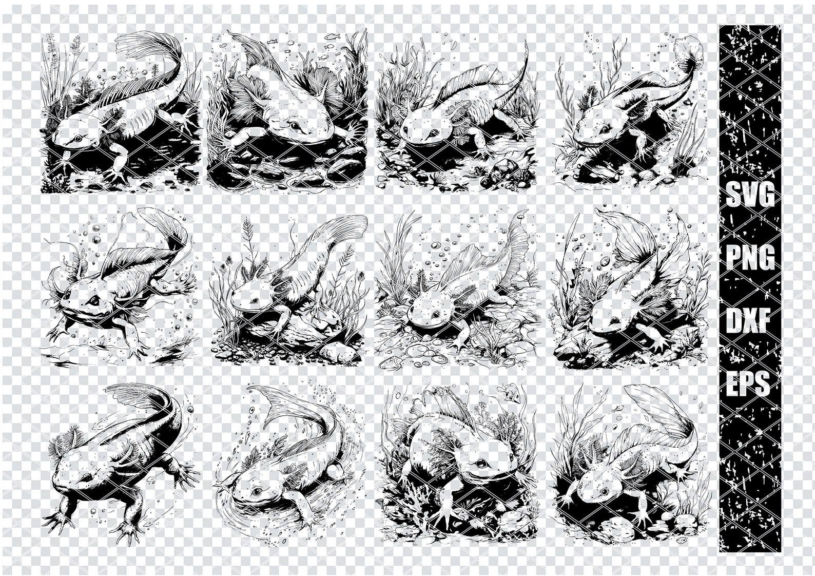 SALAMANDER SVG, SALAMANDER Svg Files for Cricut, Salamander Clipart ...