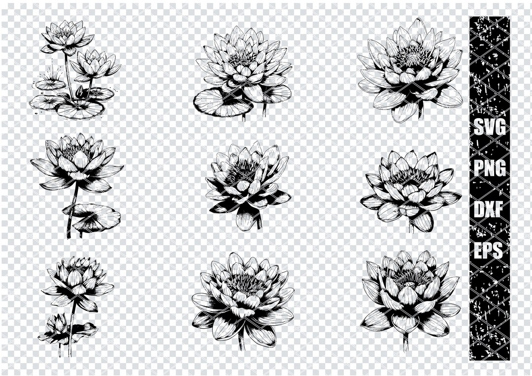 WATER LILY SVG, Water Lily Flowers Svg Files for Cricut, Water Lily ...
