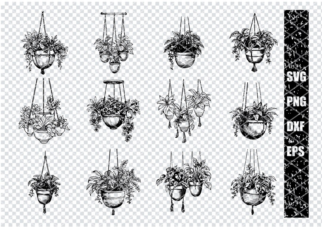 HANGING PLANT SVG, Hanging Planter Svg Files for Cricut, Hanging Plant ...