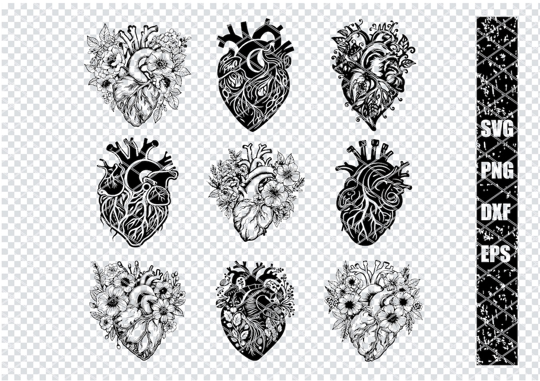 ANATOMICAL HEART SVG, Floral Heart Svg Files for Cricut, Human Heart ...