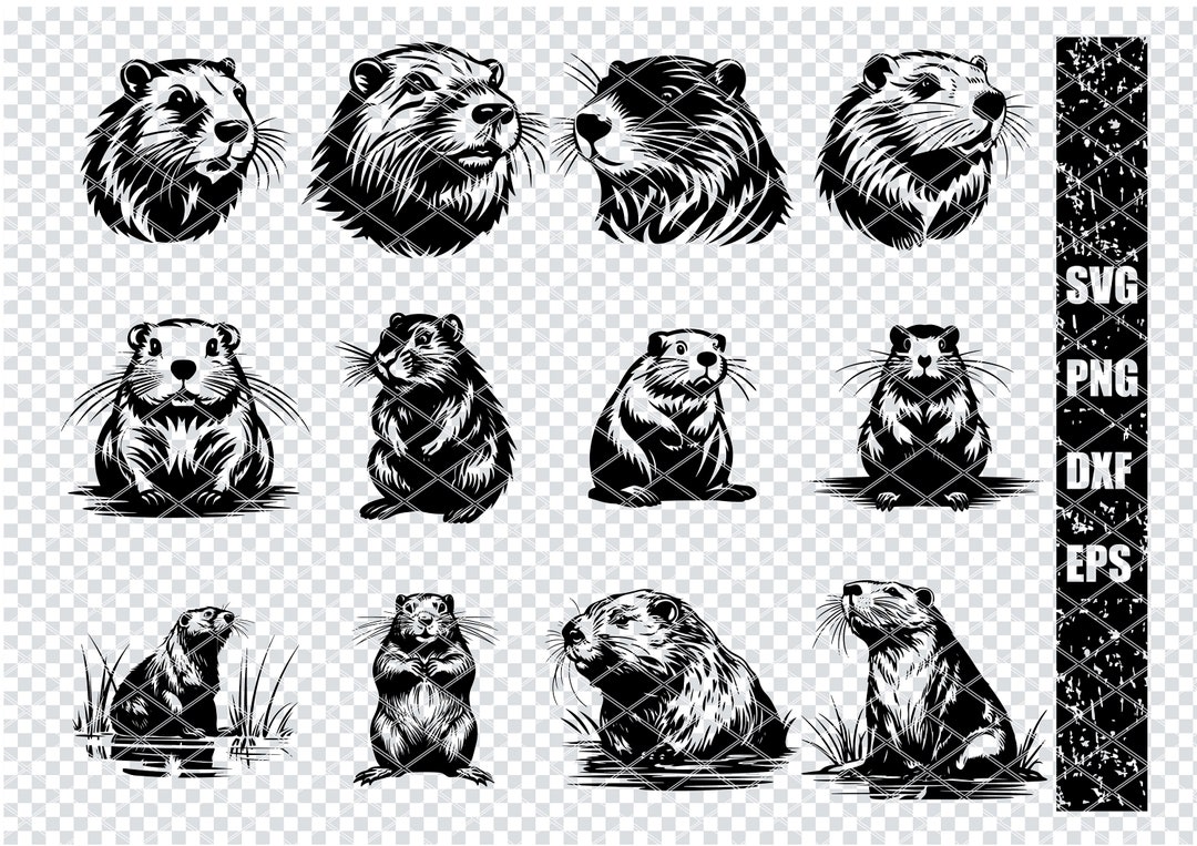 WILD BEAVER SVG, River Beaver Svg Files for Cricut, Mammal Beaver ...