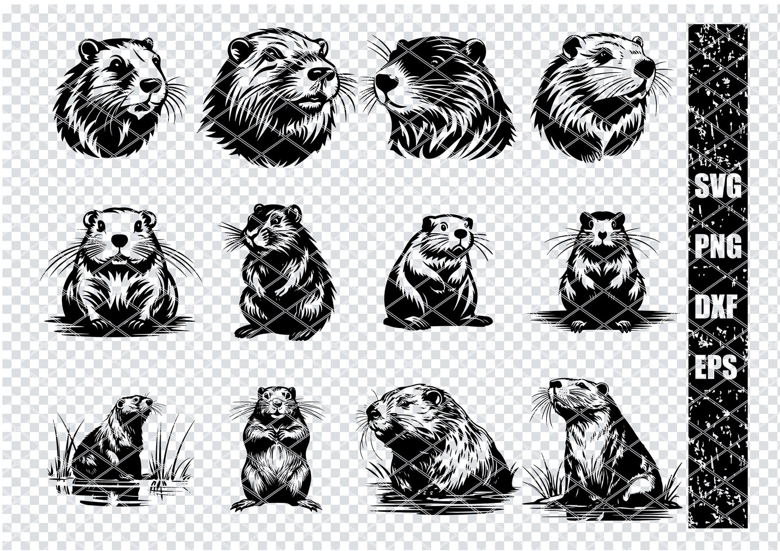 WILD BEAVER SVG, River Beaver Svg Files for Cricut, Mammal Beaver ...