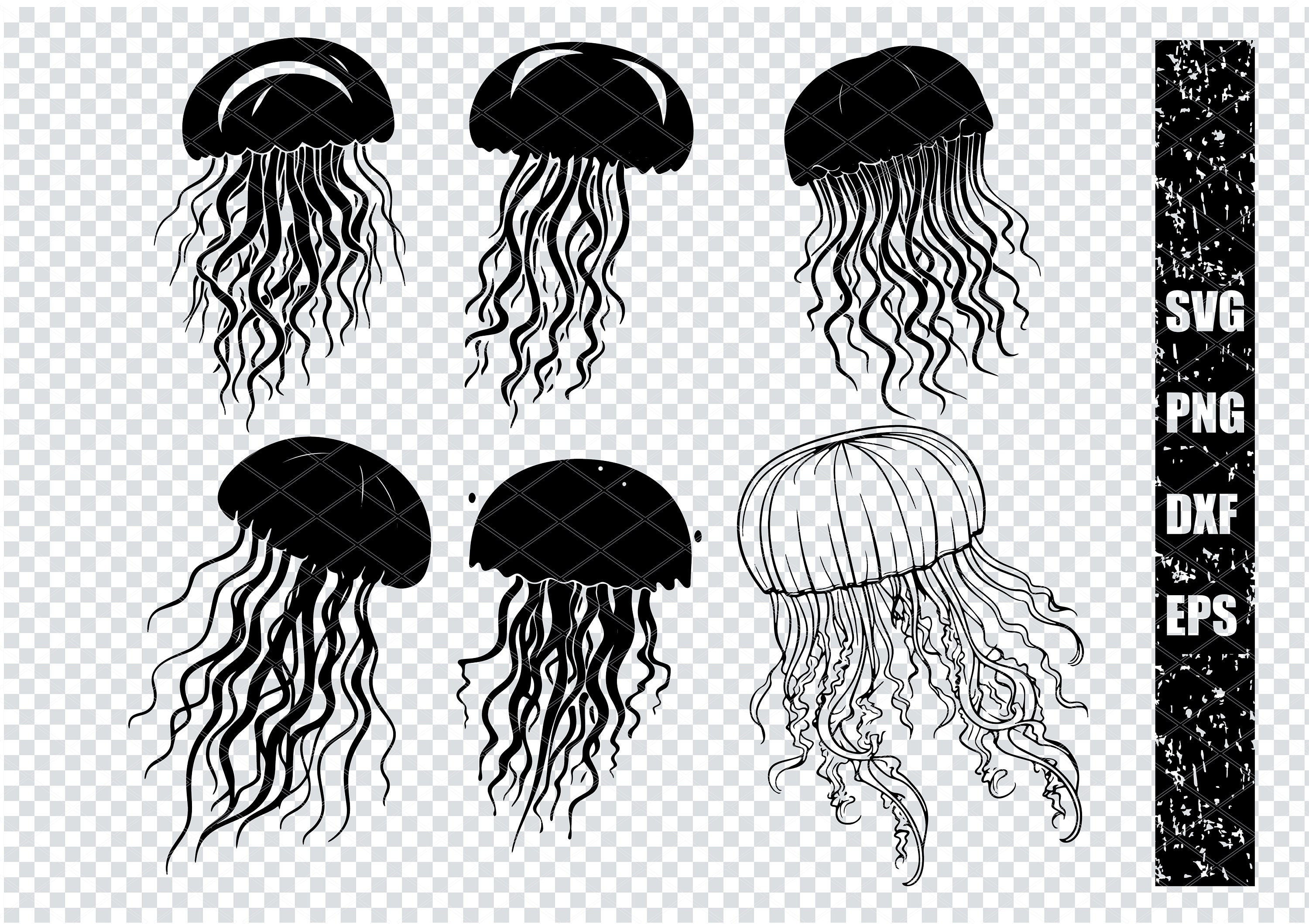 JELLYFISH SVG, JELLYFISH Svg Files for Cricut, Jellyfish Clipart ...