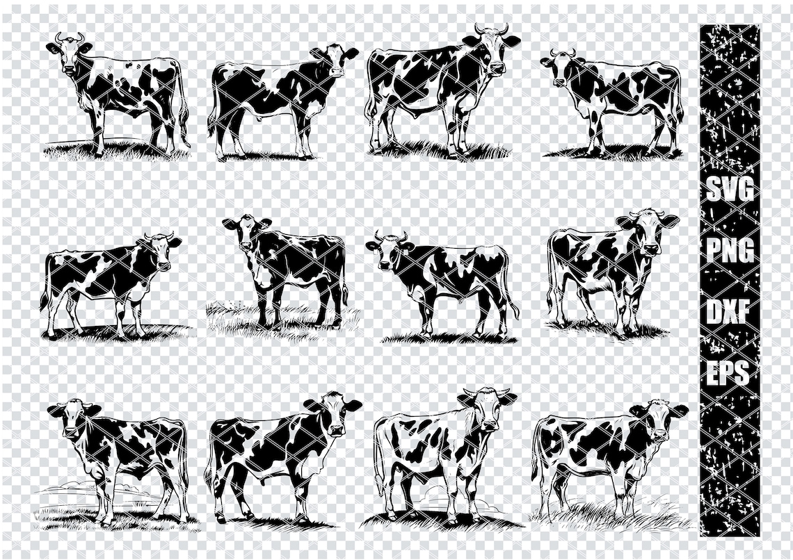 HOLSTEIN DAIRY COW Svg, Holstein Cattle Svg Files for Cricut, Holstein ...