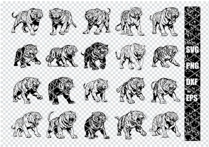 SABERTOOTH TIGER SVG, Saber Tooth Tiger Svg Files for Cricut, Tiger ...