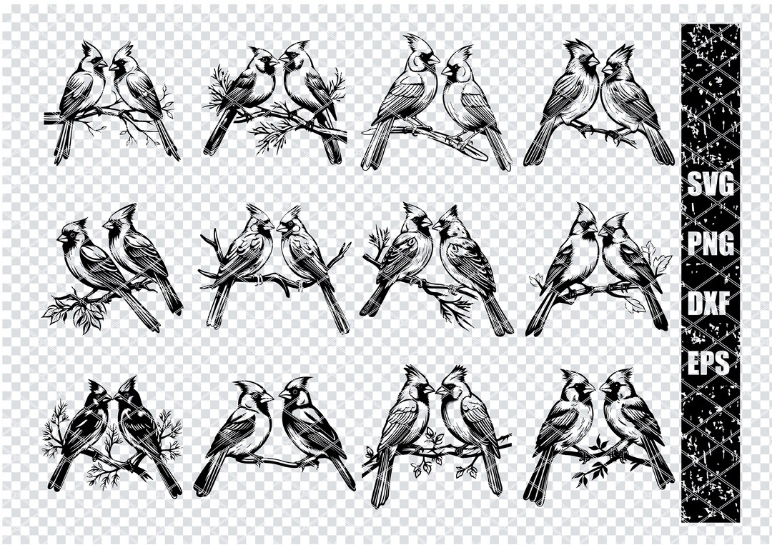 CARDINAL BIRD PAIR Svg, Mating Cardinal Season Svg Files for Cricut ...
