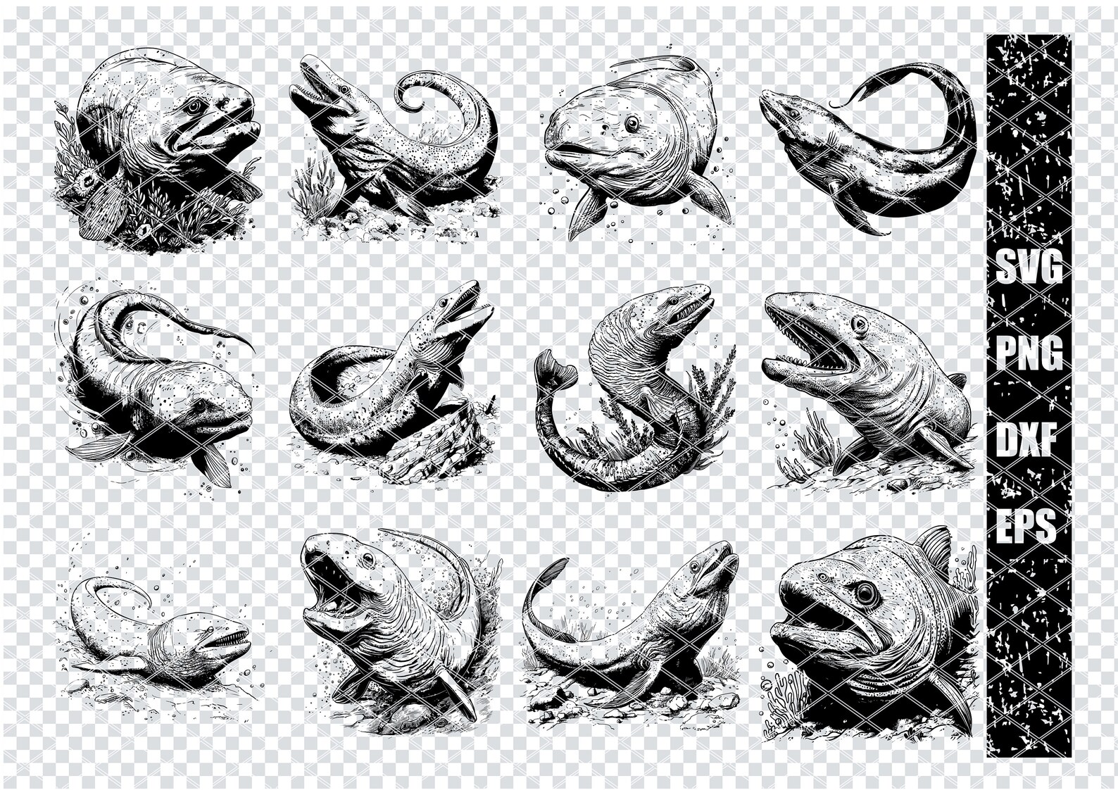 MORAY EEL SVG, Moray Eel Svg Files for Cricut, Moray Eel Clipart, Laser ...