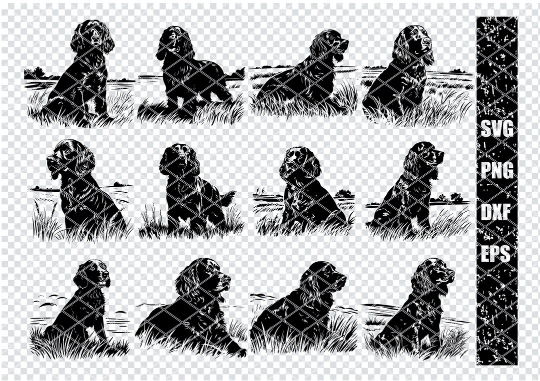BOYKIN SPANIEL DOG Svg, Boykin Spaniel Dog Breed Svg Files for Cricut ...