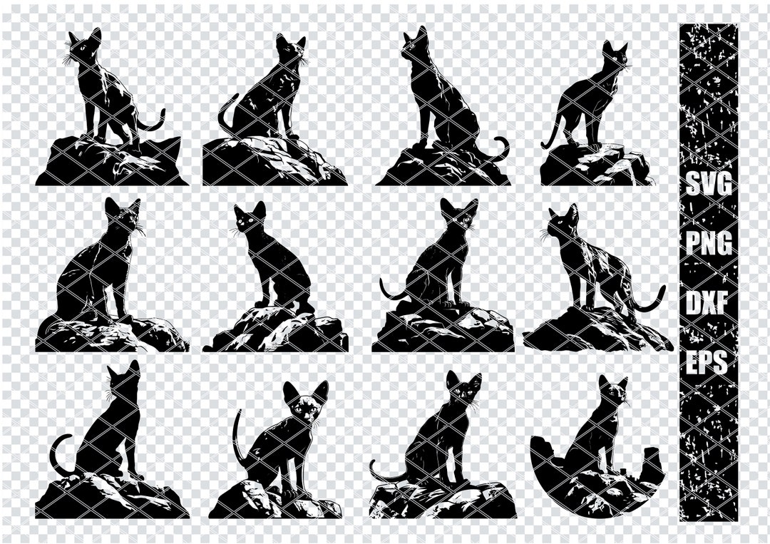 CORNISH REX CAT Svg, Curly-haired Cornish Rex Cat Svg Files for Cricut ...