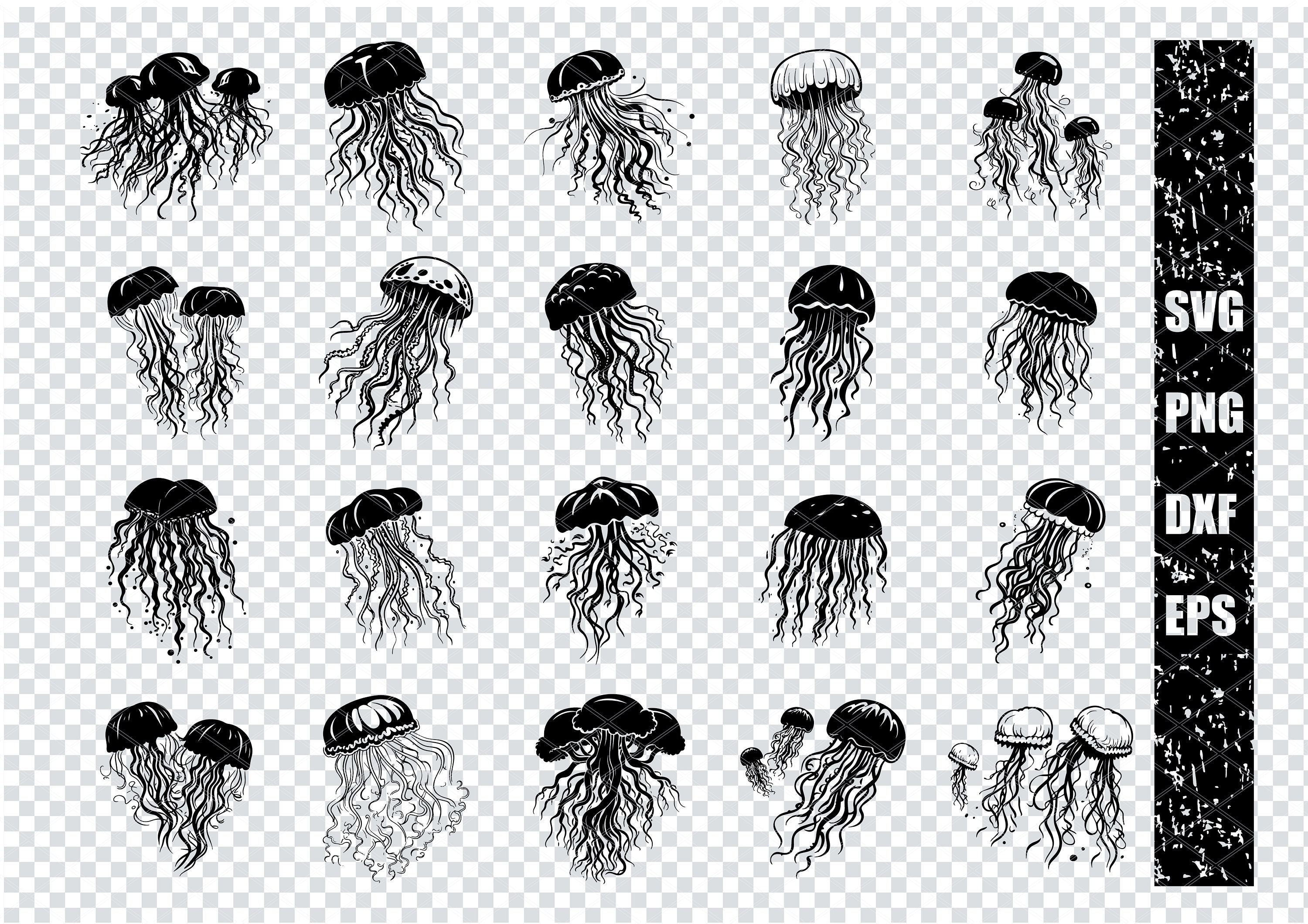JELLYFISH SVG, JELLYFISH Svg Files for Cricut, Jellyfish Clipart ...