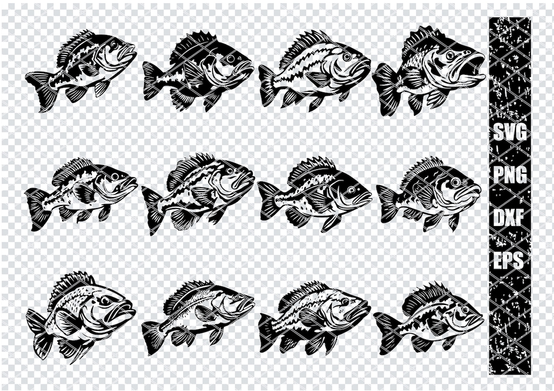 GROUPER FISH SVG, Sea Bass Svg Files for Cricut, Ocean Grouper Fish ...