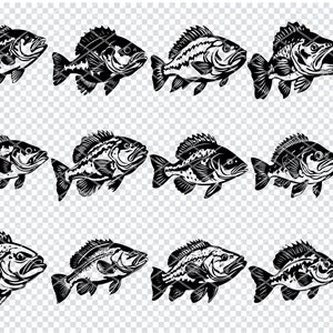 GROUPER FISH SVG, Sea Bass Svg Files for Cricut, Ocean Grouper Fish ...