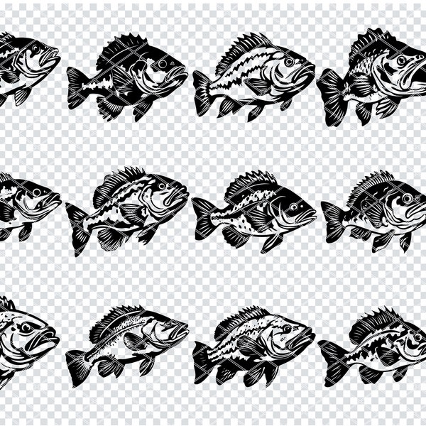 Grouper Svg - Etsy
