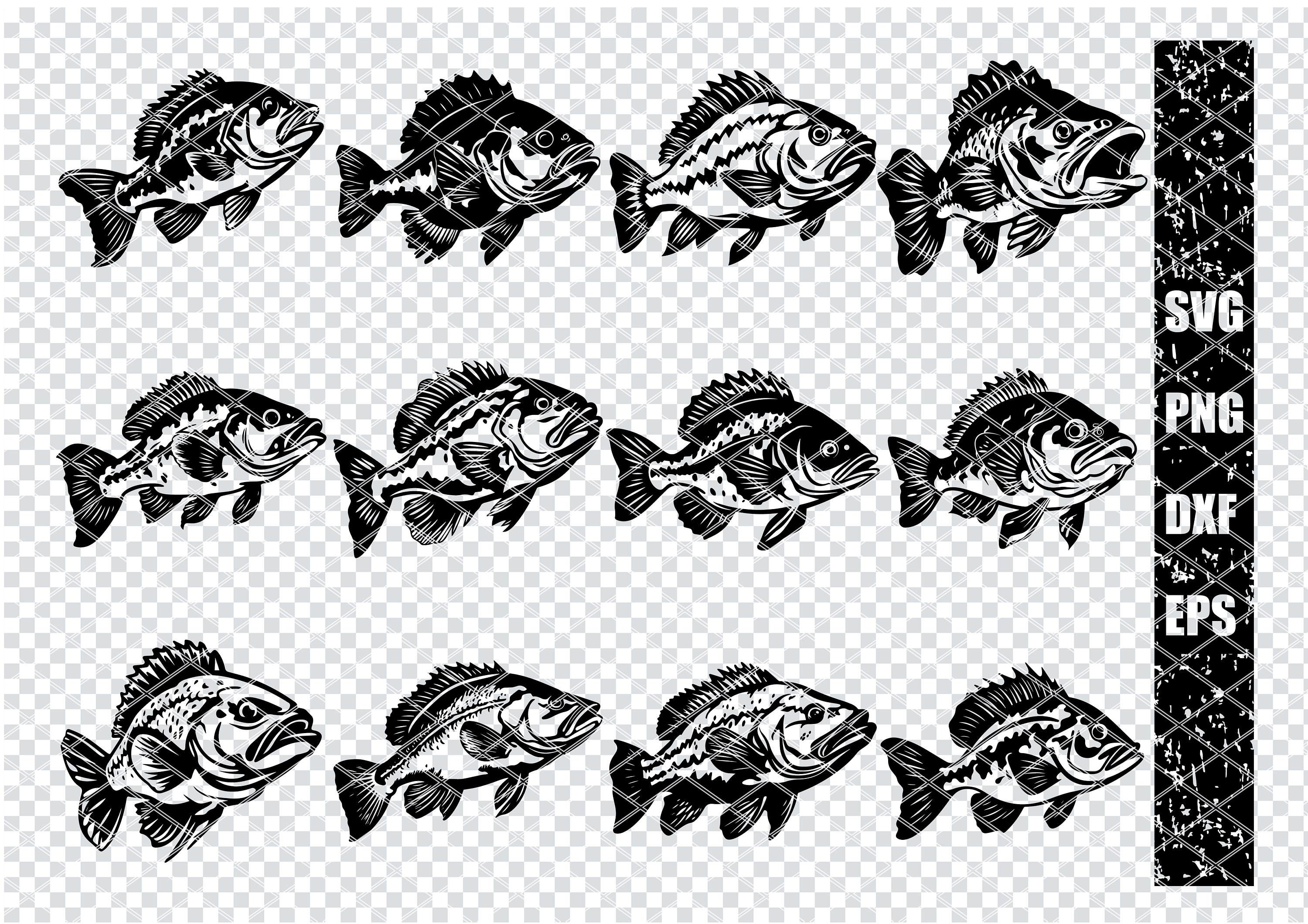 GROUPER FISH SVG, Sea Bass Svg Files for Cricut, Ocean Grouper Fish ...