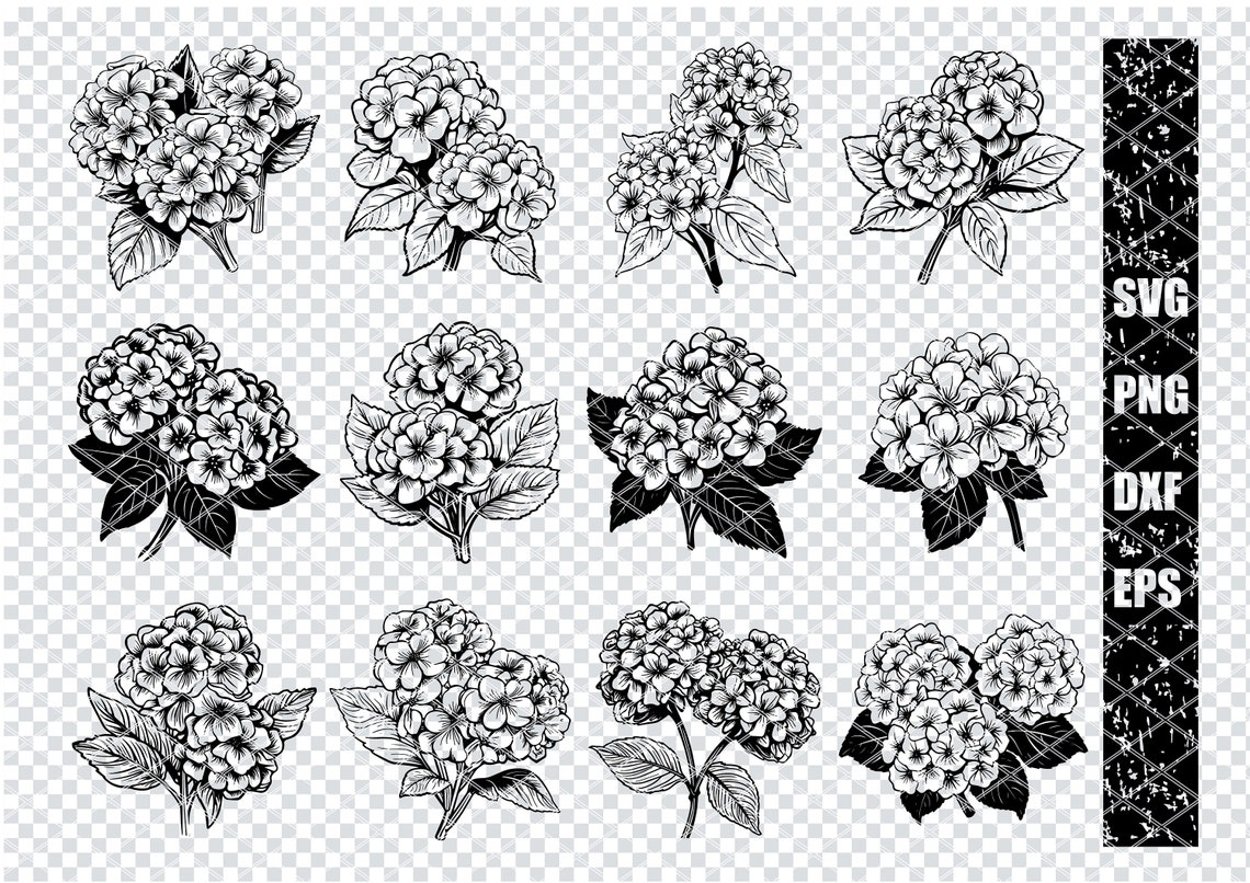 HYDRANGEA FLOWER BLOOMS Svg, Hydrangea Bouquet Svg Files for Cricut ...