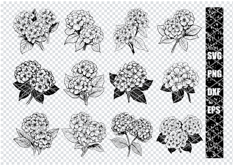 HYDRANGEA FLOWER BLOOMS Svg, Hydrangea Bouquet Svg Files for Cricut ...