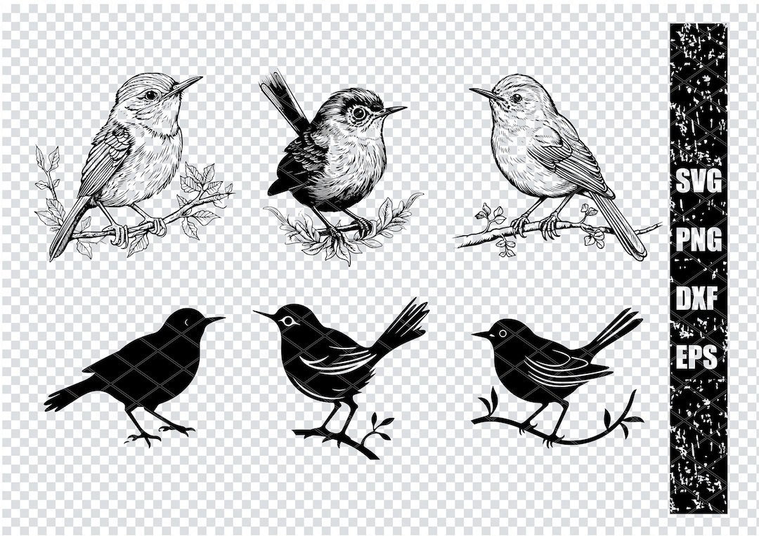 WREN BIRD SVG, Wren Bird Svg Svg Files for Cricut, Wreb Bird Clipart ...