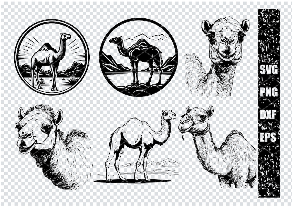 CAMEL SVG, CAMEL Svg Files for Cricut, Camel Clipart, Camel Laser Cut ...