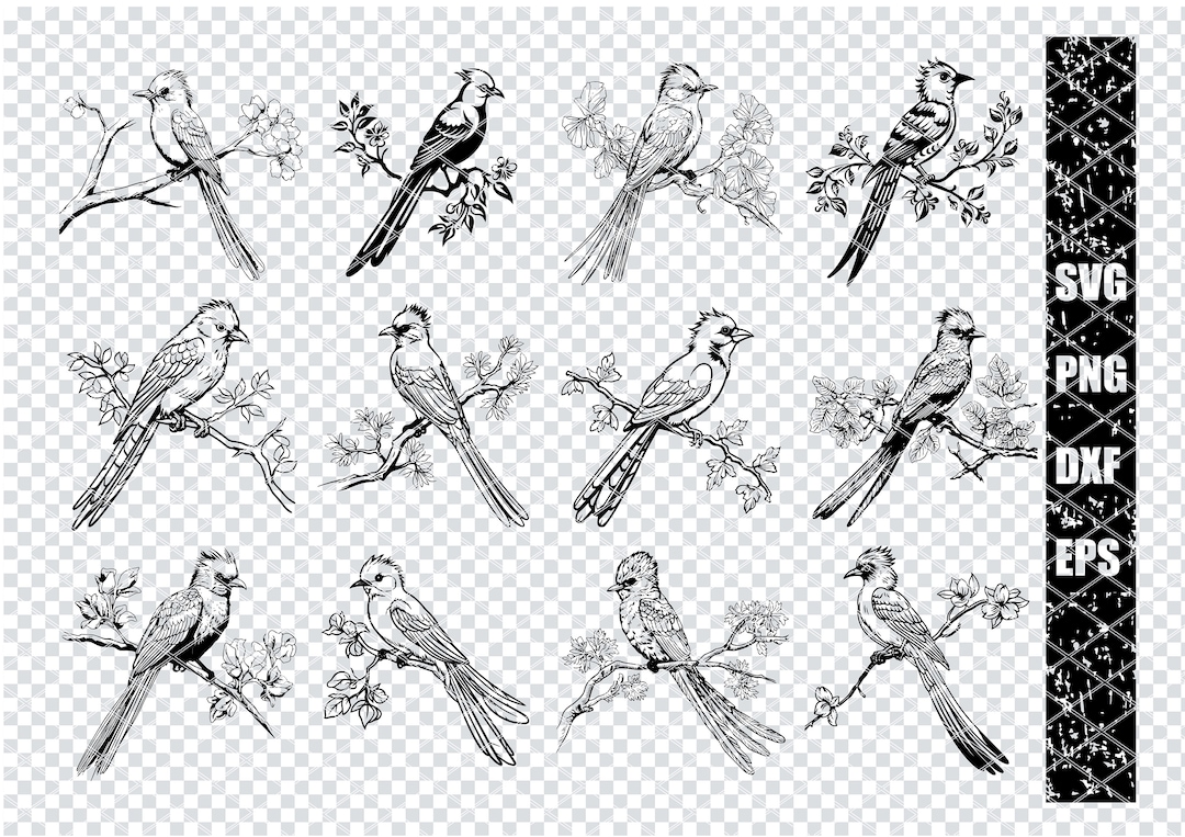 QUETZAL BIRD SVG, Quetzal Bird Svg Files for Cricut, Quetzal Bird ...