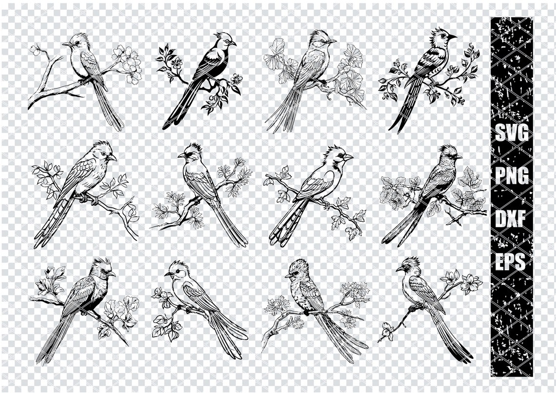 QUETZAL BIRD SVG, Quetzal Bird Svg Files for Cricut, Quetzal Bird ...